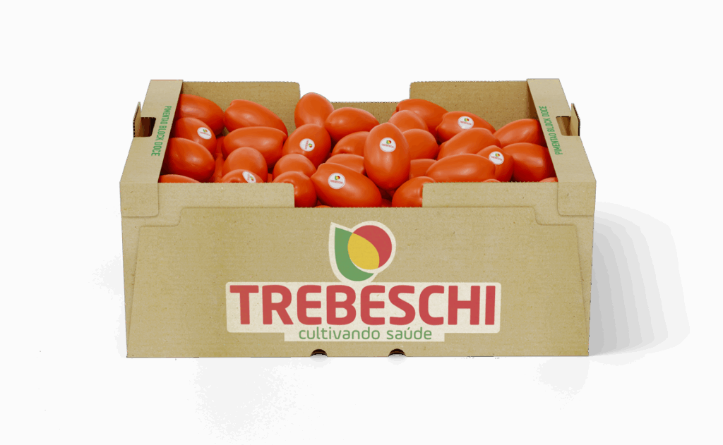 Produtos – Trebeschi