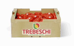 Produtos – Trebeschi