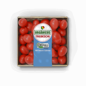 Produtos – Trebeschi