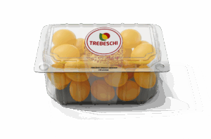 Produtos – Trebeschi
